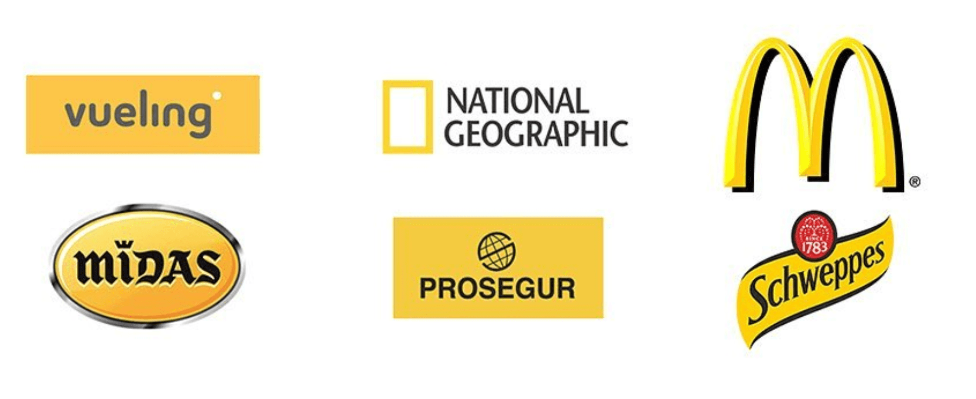 ¿Cuáles son los colores para negocios exitosos? - Disomnia Studio